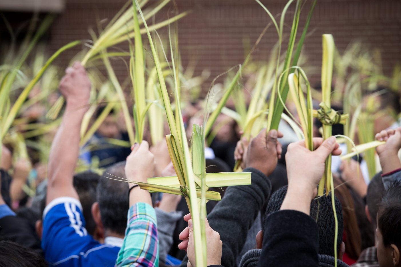 From Palms to the Passion: What Happens on the Days of Holy Week?